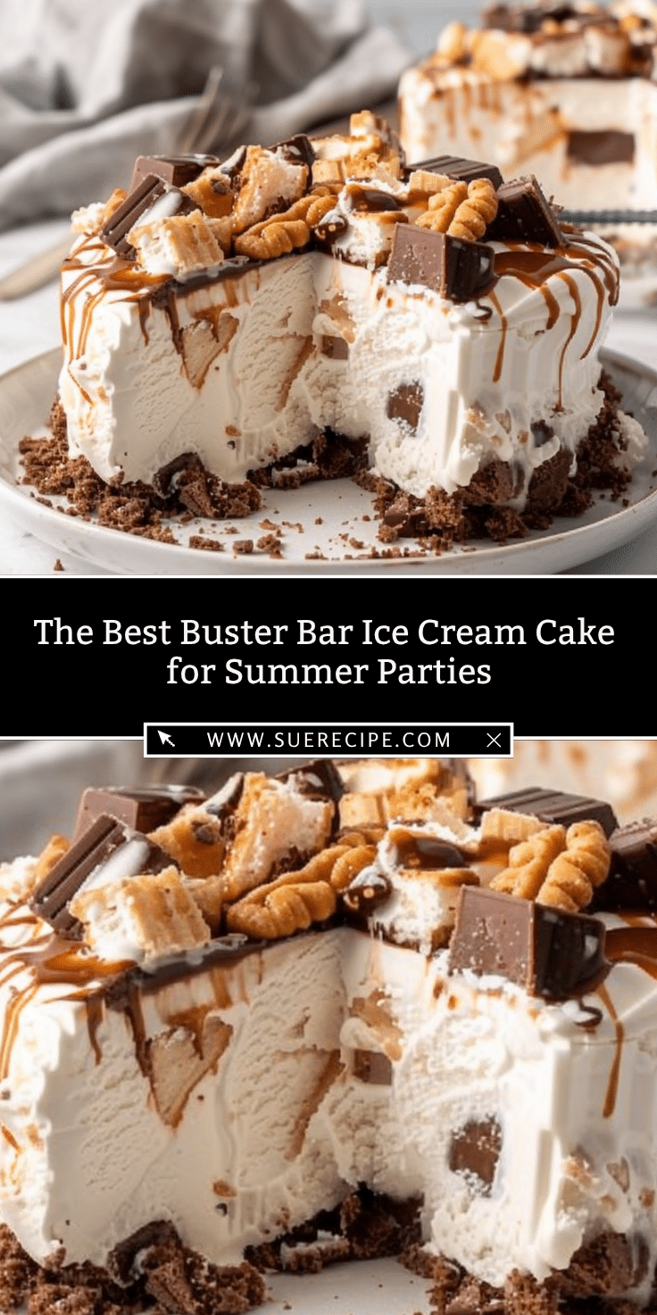BUSTER BAR ICE CREAM CAKE | Sue Recipe
