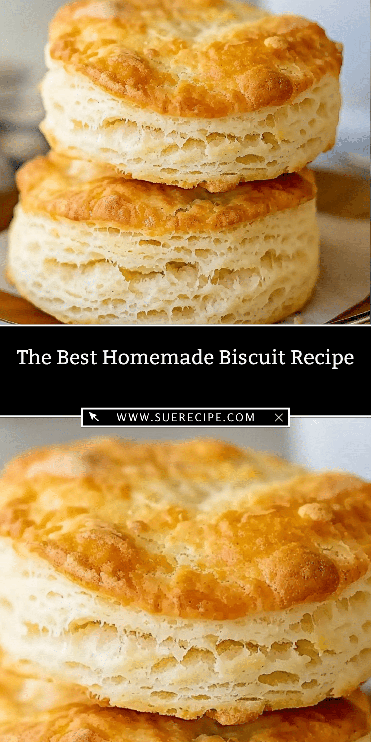 The Best Homemade Biscuit Recipe | Sue Recipe