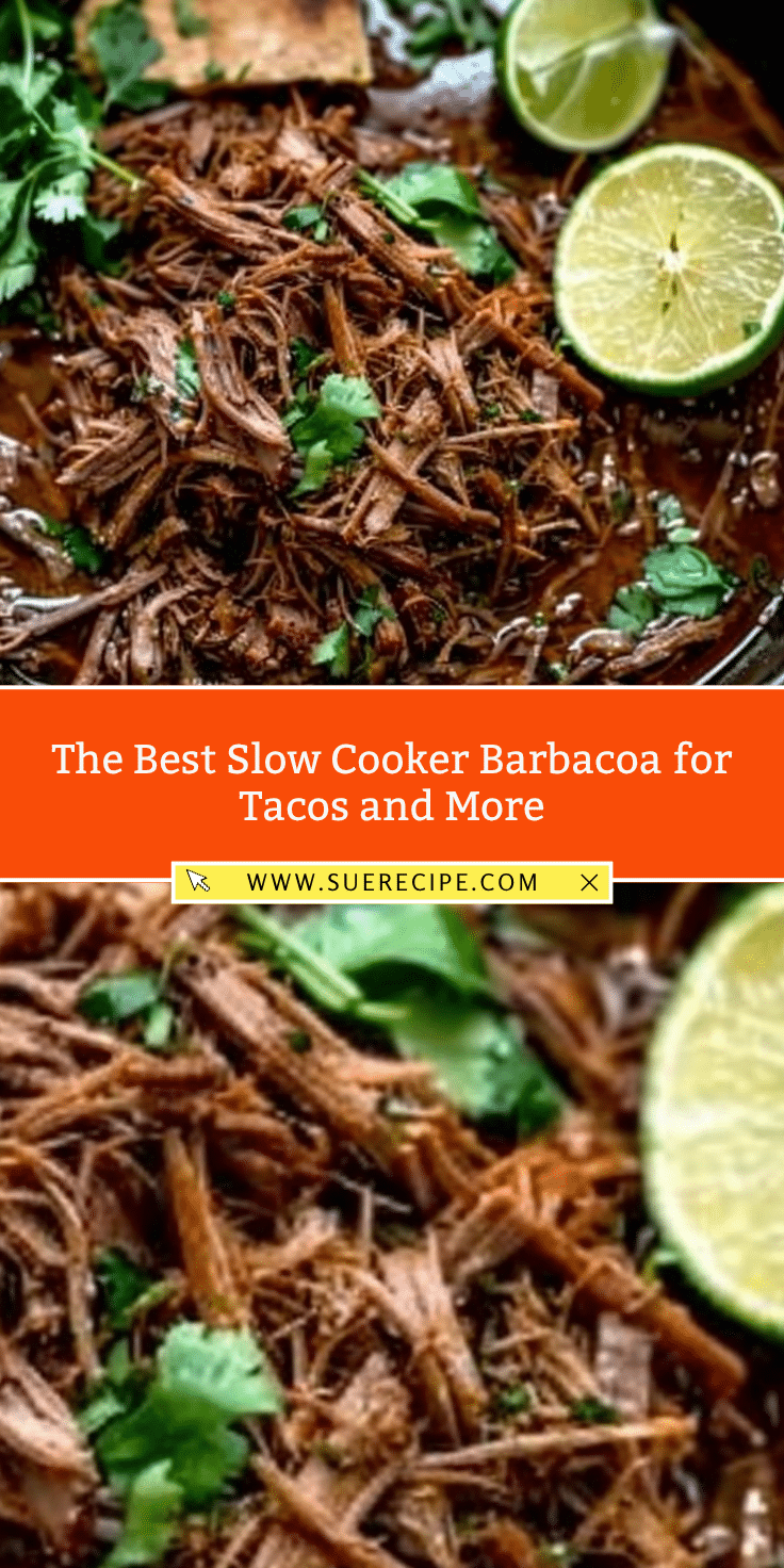 Slow Cooker Barbacoa Recipe | Sue Recipe