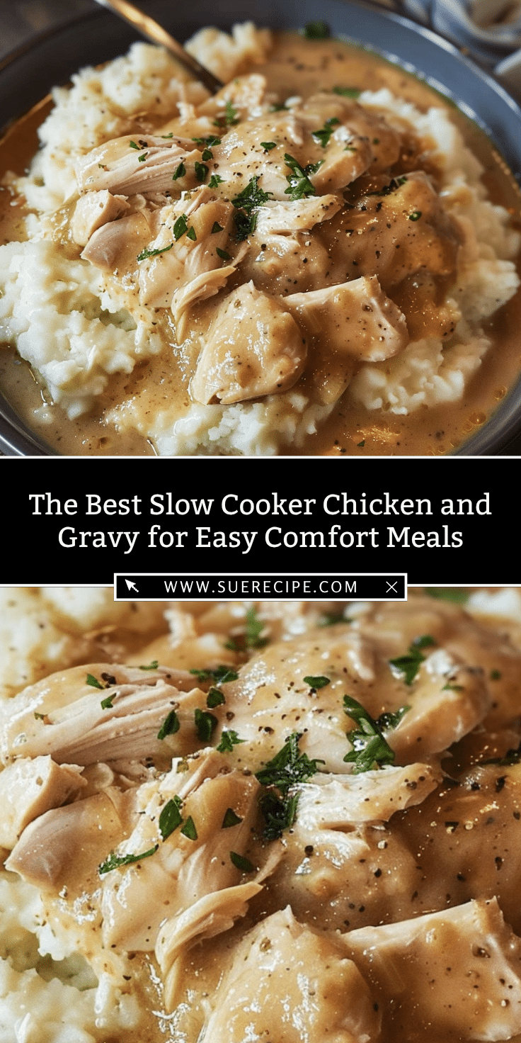 Slow Cooker Chicken and Gravy | Sue Recipe